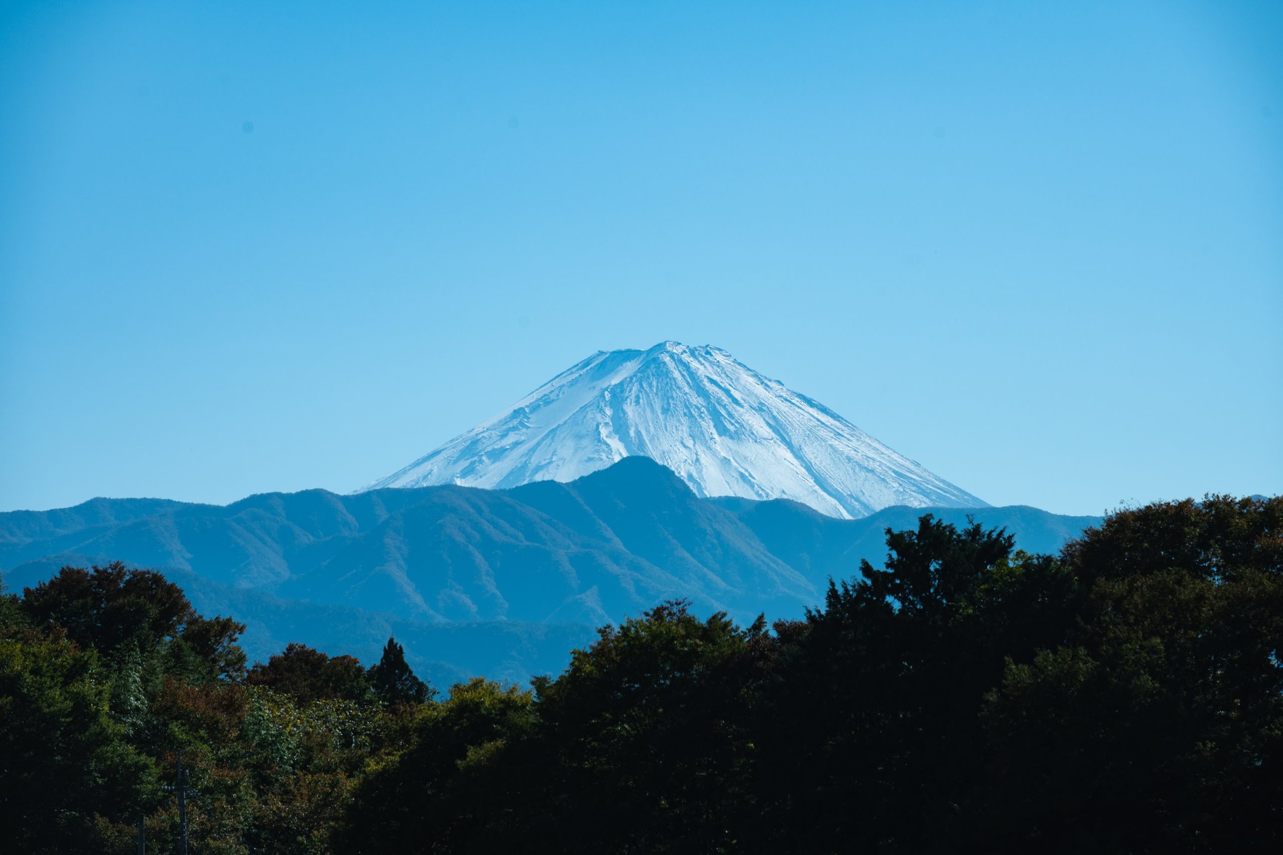 ERINJI PHOTO 2021 | SHINSEKI Inc.